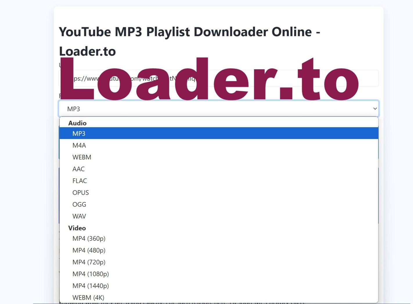 Loader.to Review: An In-Depth Look at the Online Video Downloader ...