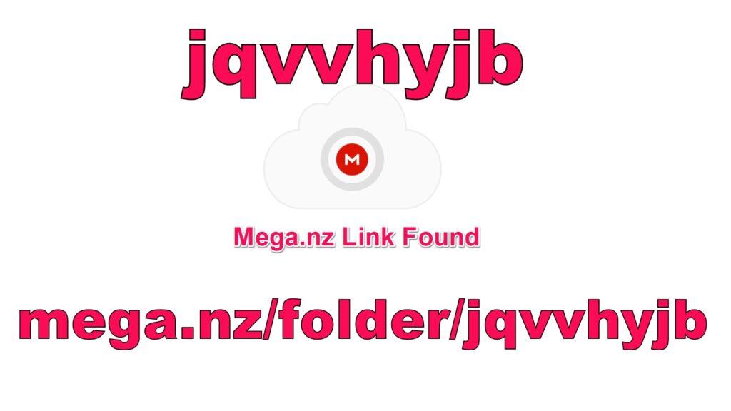 Getting Mega.nz Folder jqvvhyjb for the link mega nz/folder/jqvvhyjb | AxeeTech