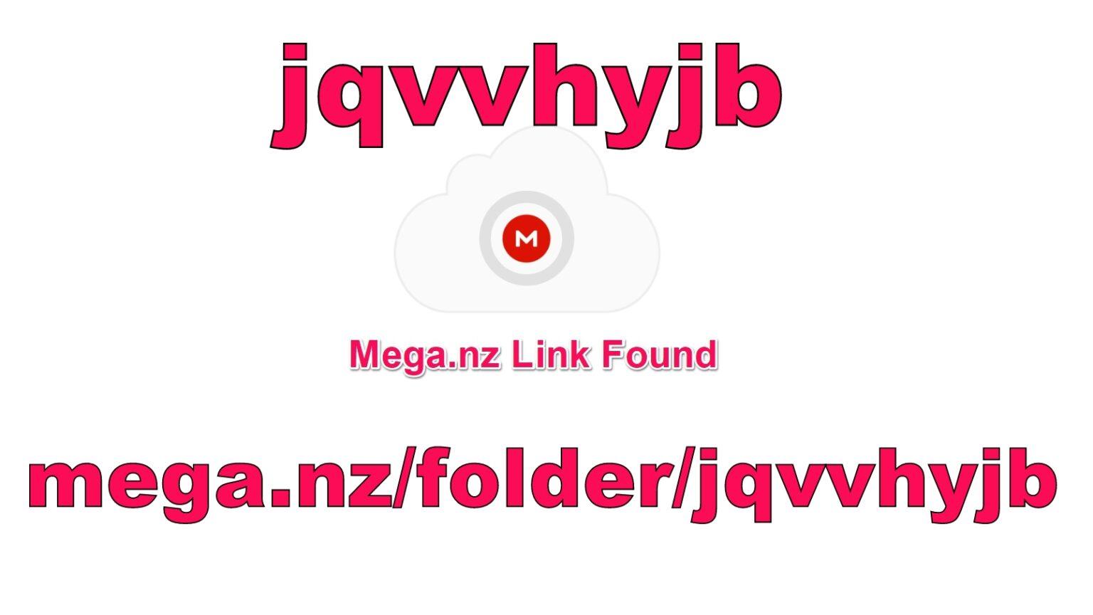 Getting Mega.nz Folder jqvvhyjb for the link mega nz/folder/jqvvhyjb | AxeeTech