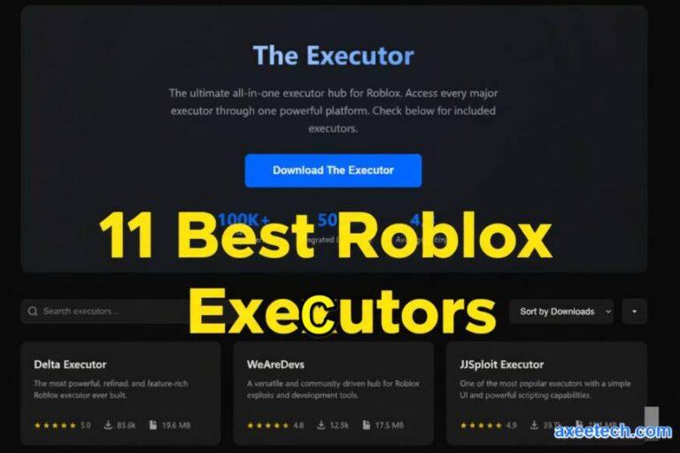 11 Best Roblox Executors for Script Execution [November 2025] | AxeeTech