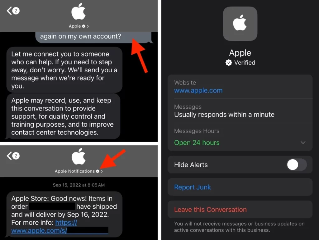 Guid to "Apple Account Security Alert Text" It's a Scam | AxeeTech