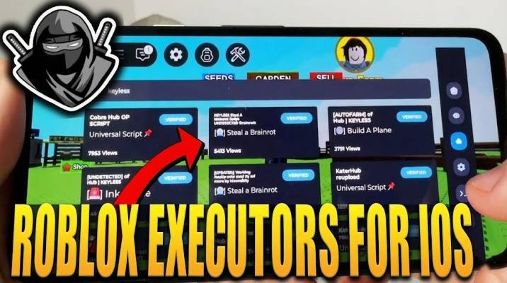 List of Best Roblox Executors for iOS [Run Scripts on iPhone and iPads ...